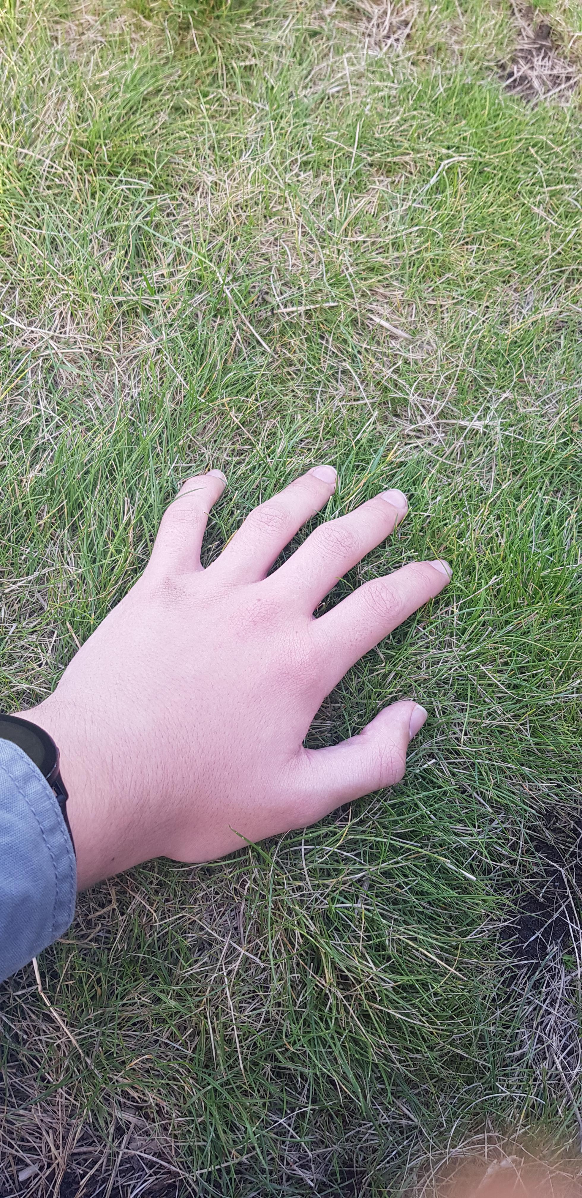 touch grass rule | Scrolller