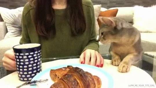 Touchy!! [OC] | Scrolller