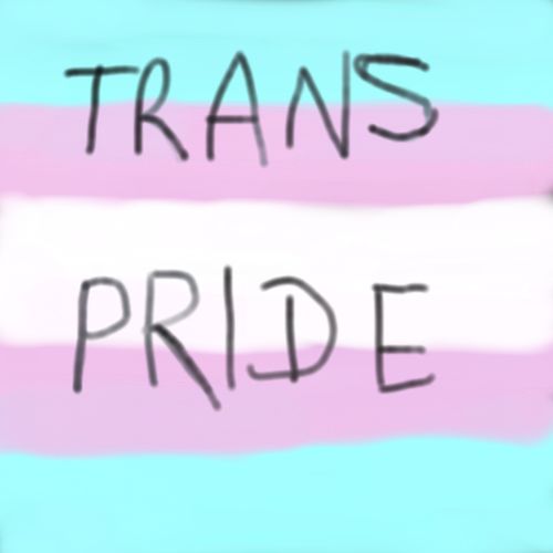 Trans Pride Flag | Scrolller