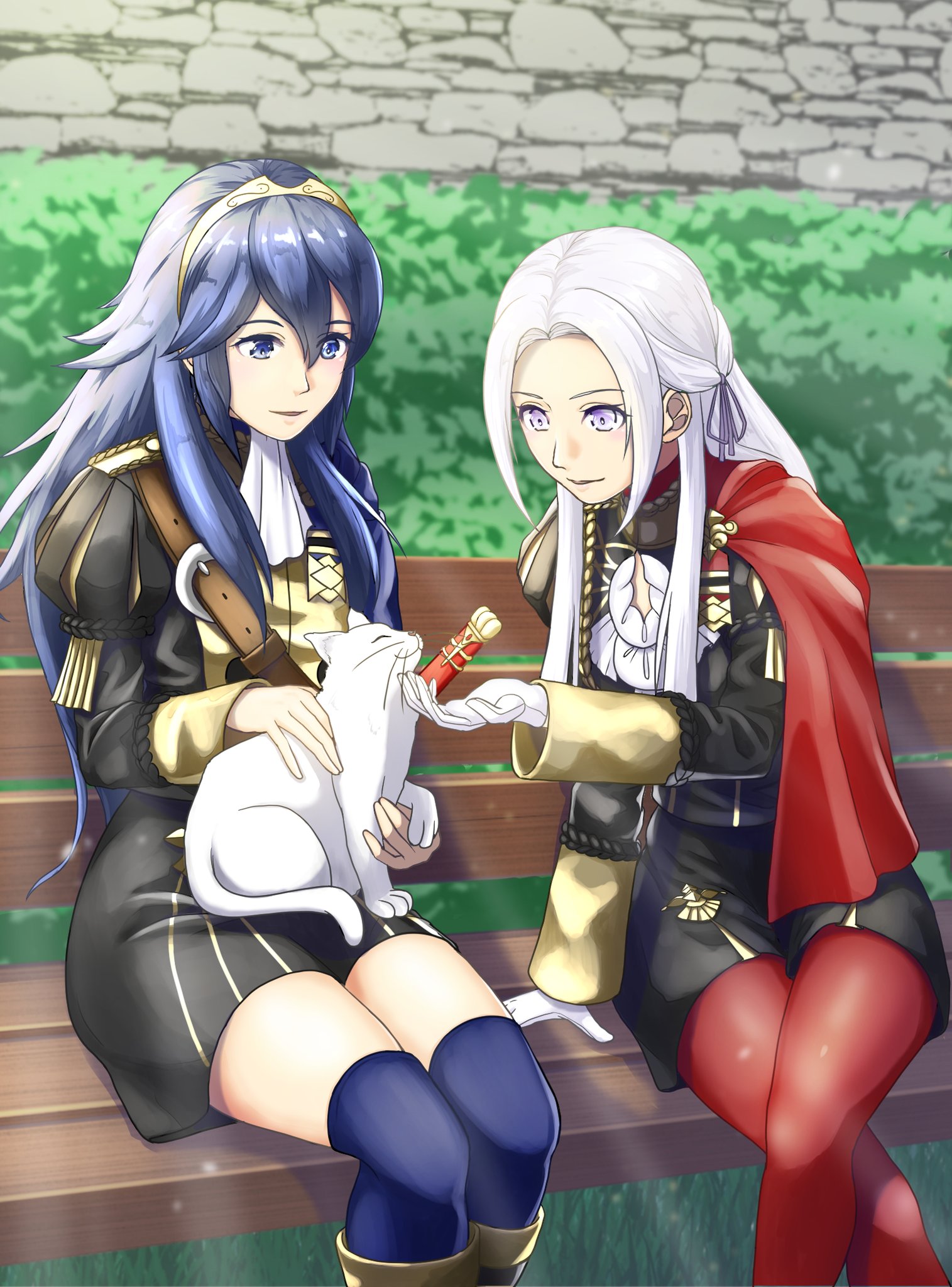 Transfer student | Scrolller