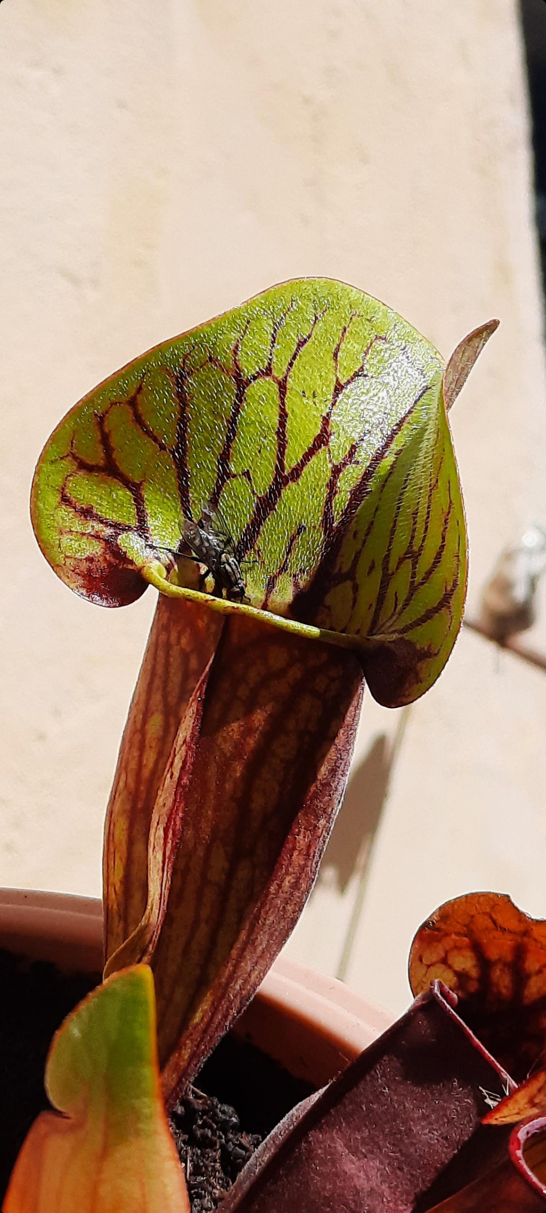 Tread carefully buddy | Scrolller