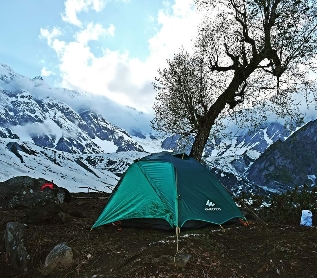 Tree camp | Scrolller