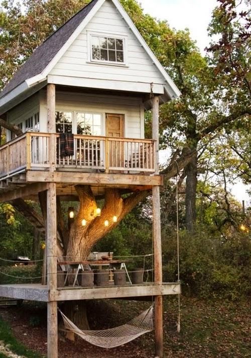 树屋 Tree House | Scrolller