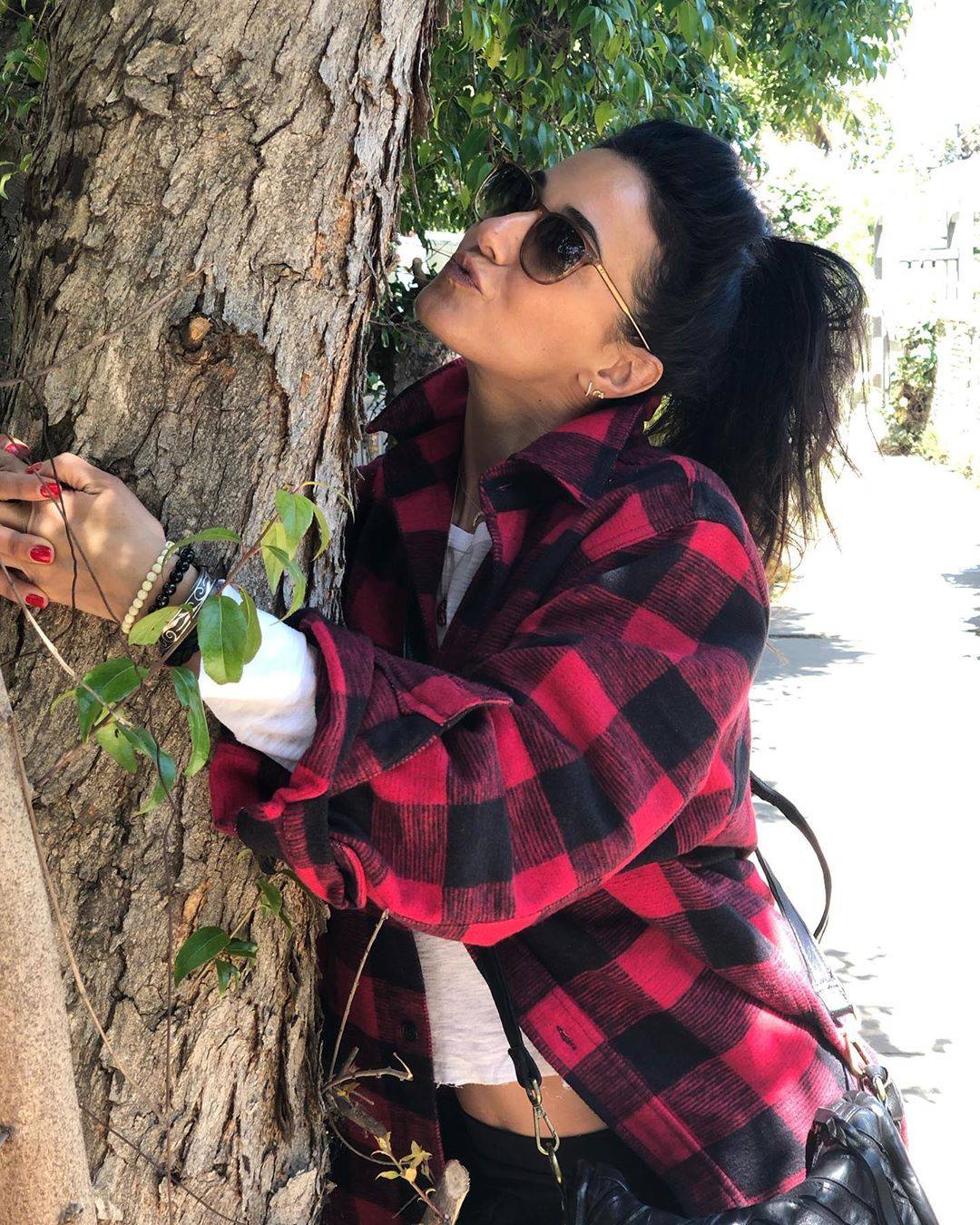 Tree Hugger | Scrolller