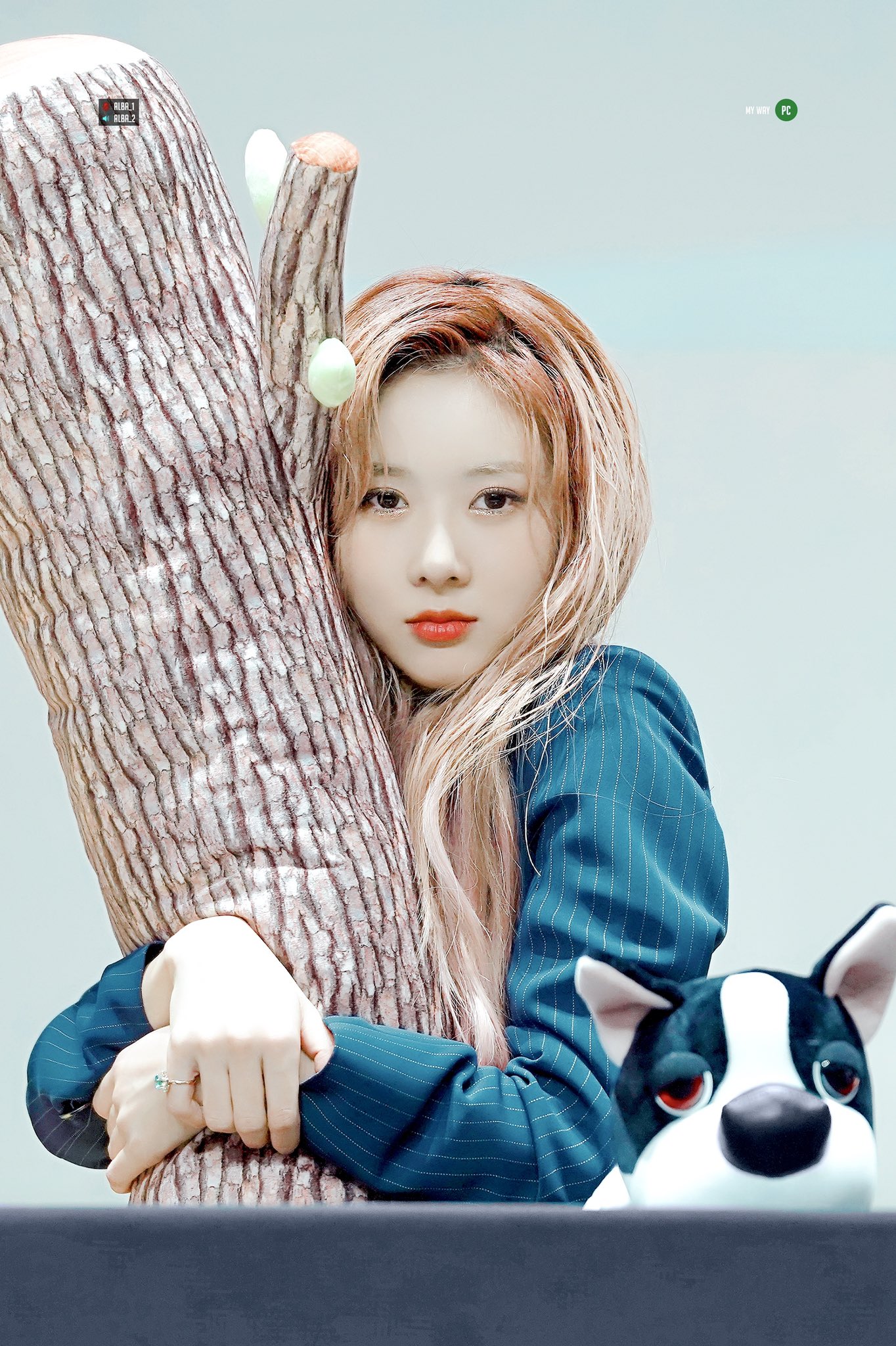 Tree Hugger Yoohyeon | Scrolller