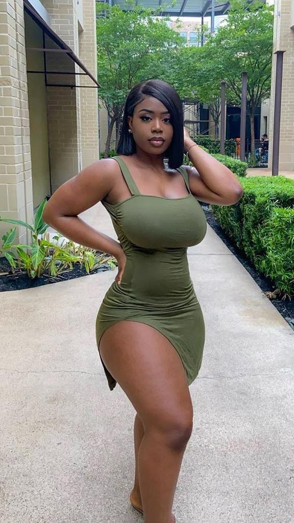 Tree trunk | Scrolller