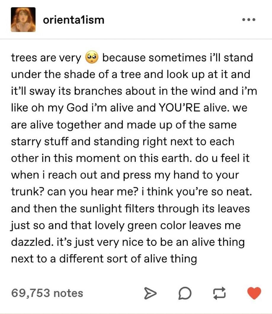 Trees are cute | Scrolller