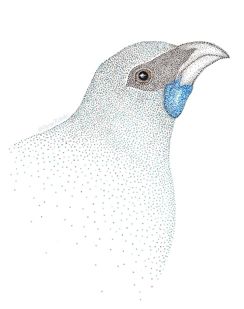 Tried my hand at pointillism artwork of my fave bird, the magnificent Kōkako | Scrolller