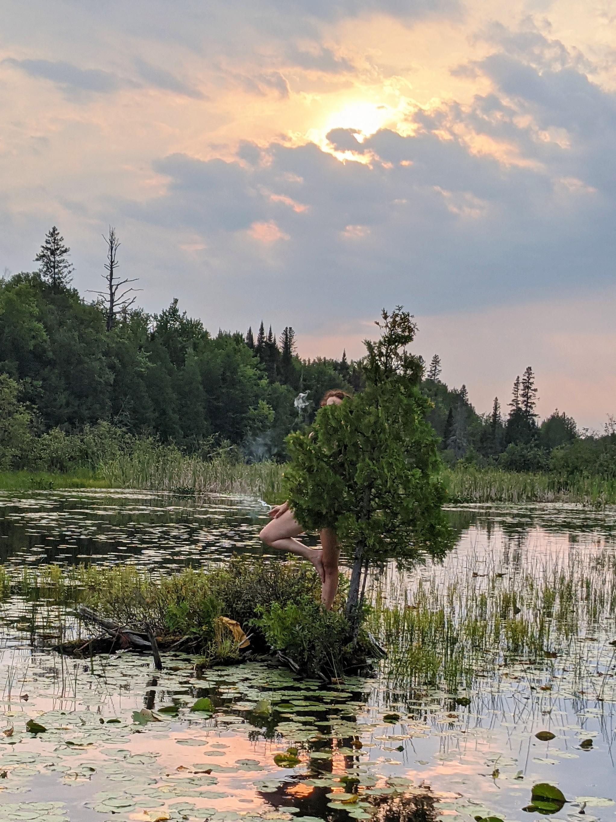 Triple threat tree pose Tuesday | Scrolller