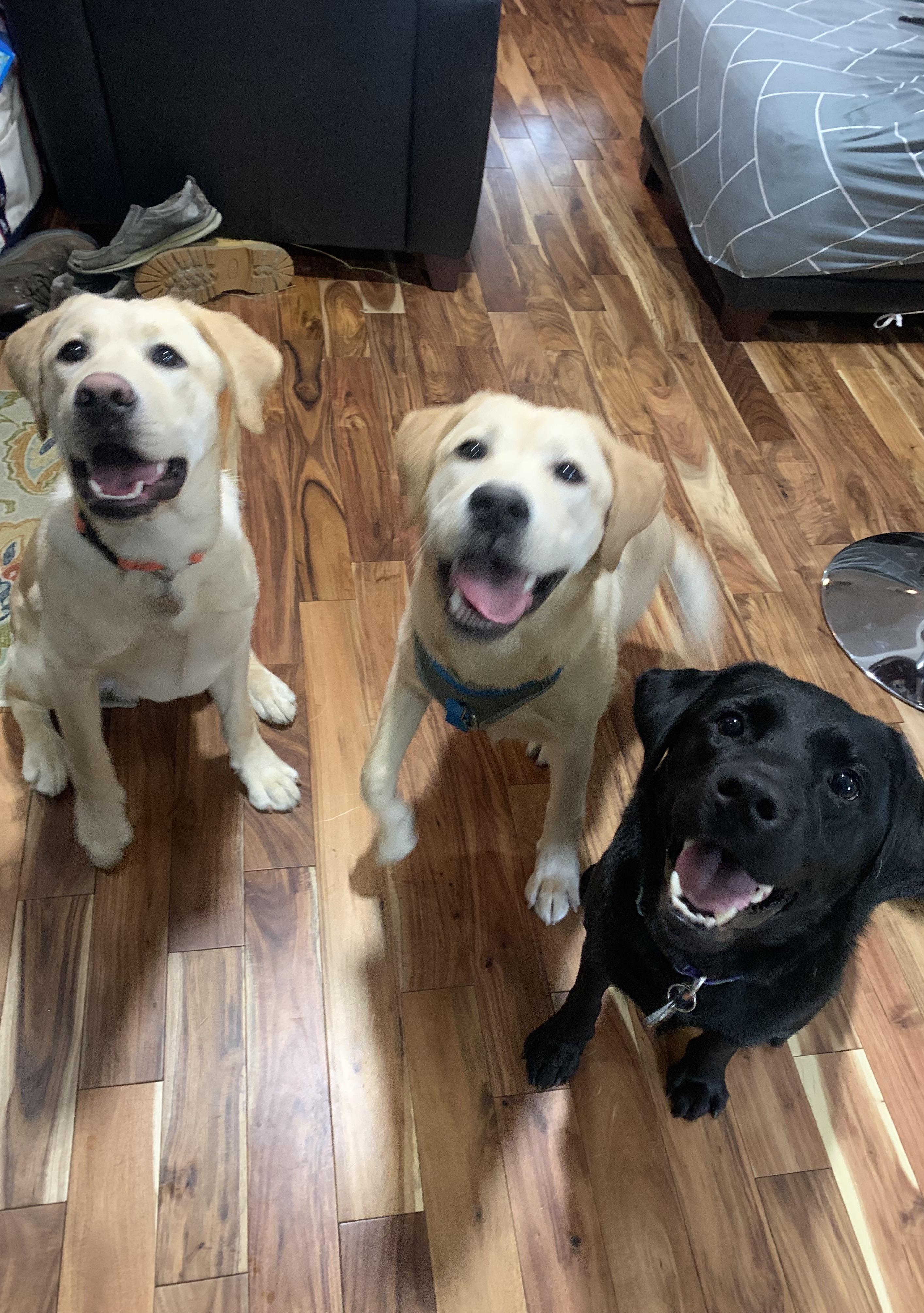 Triple Trouble | Scrolller