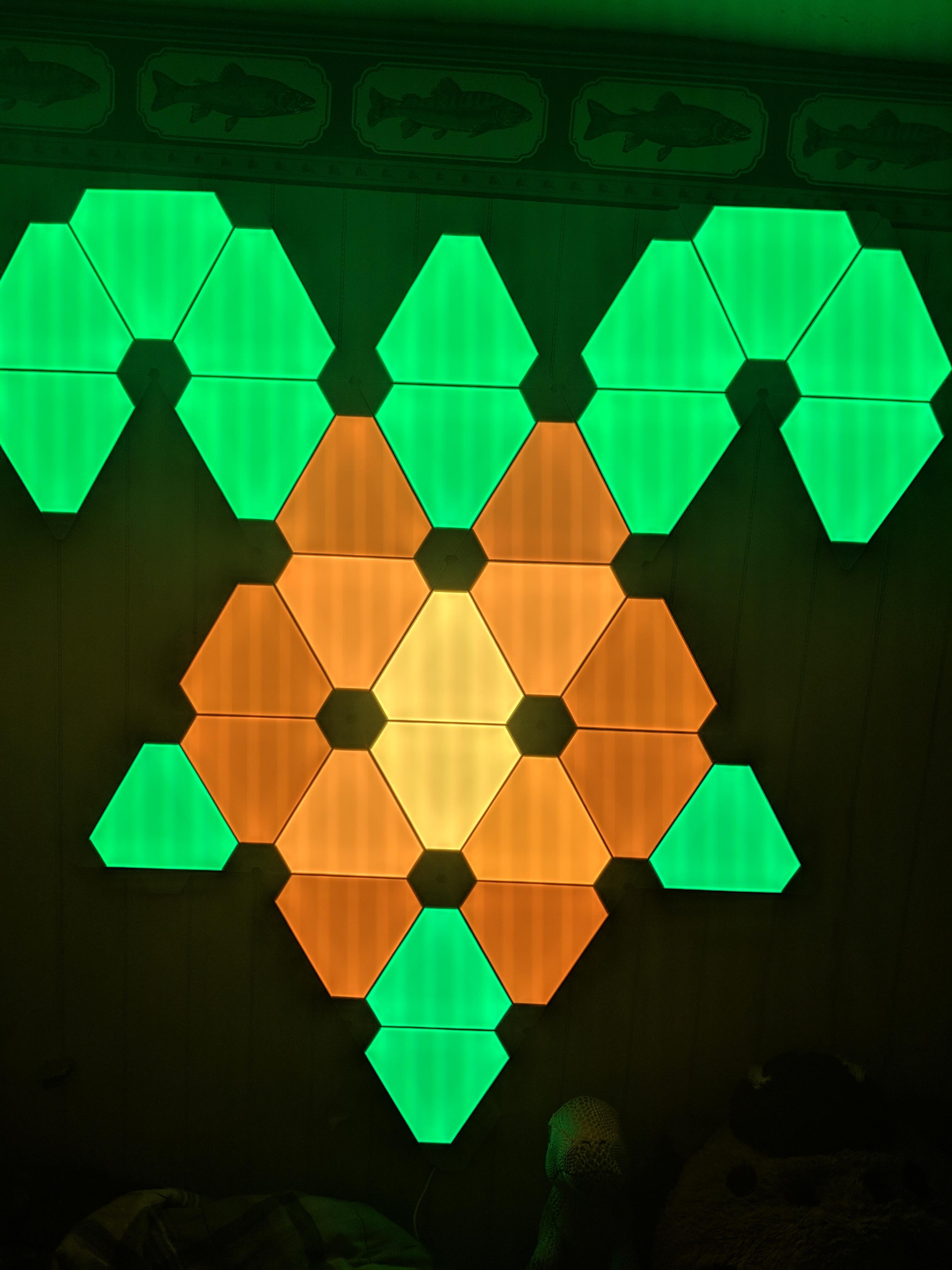 #trippyturtle formation | Scrolller