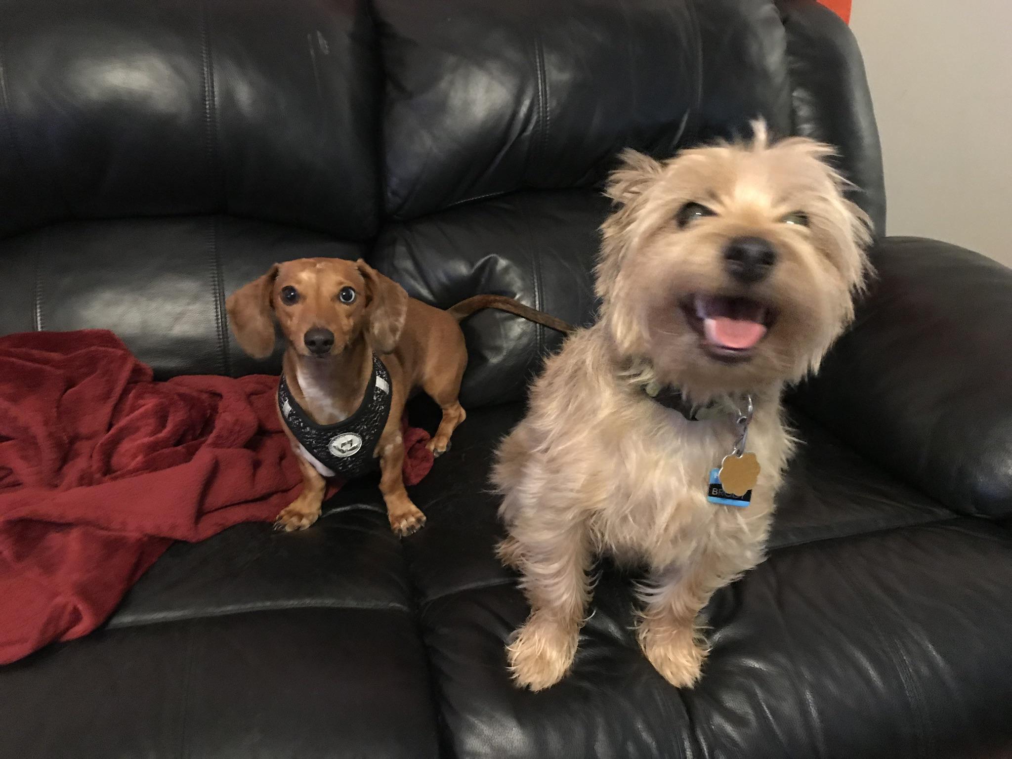 Trouble makers. | Scrolller