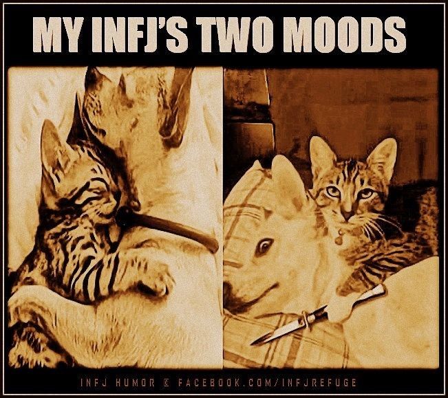 True.... | Scrolller