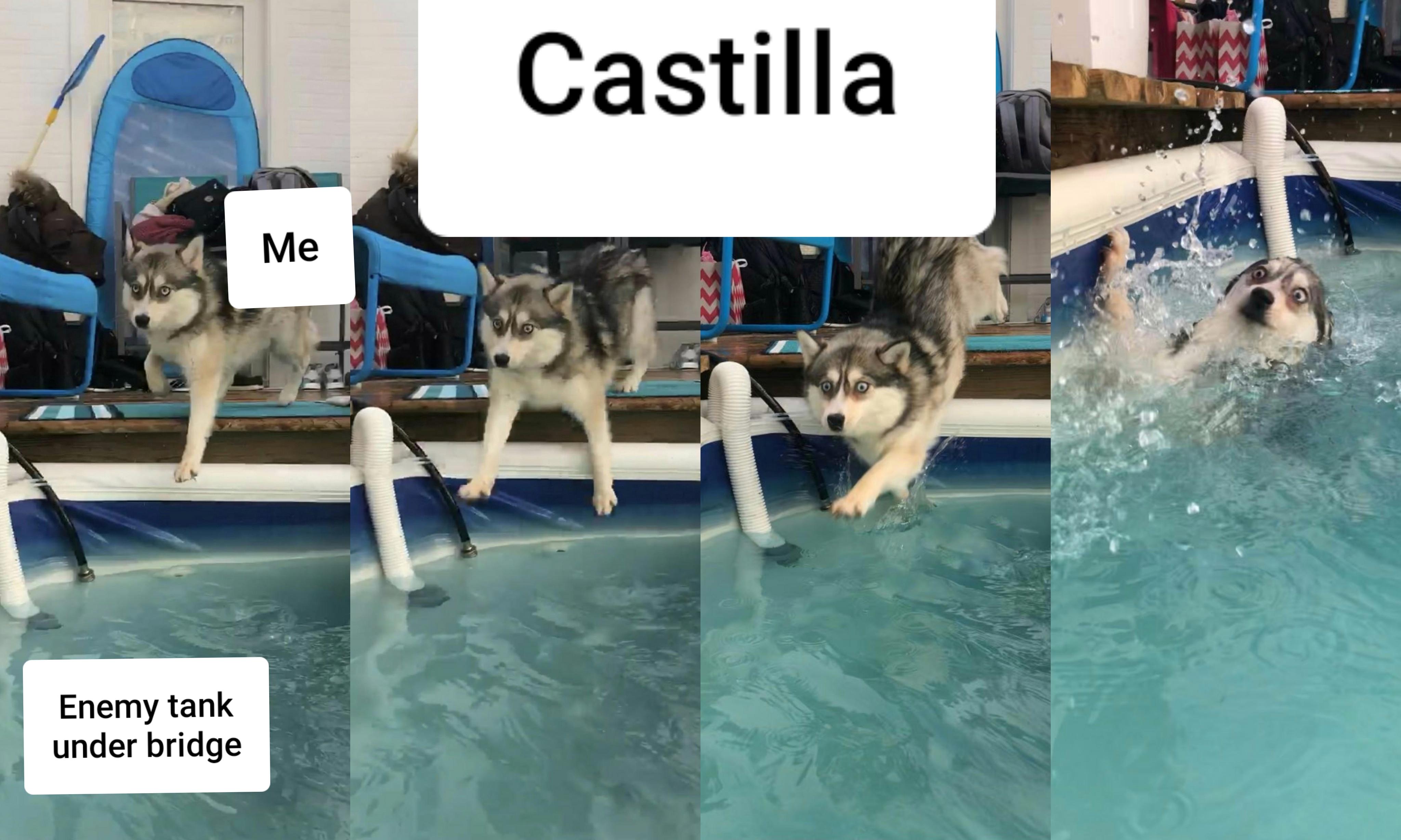 True Story | Scrolller