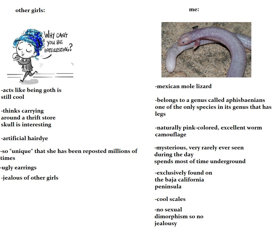 truly unique | Scrolller