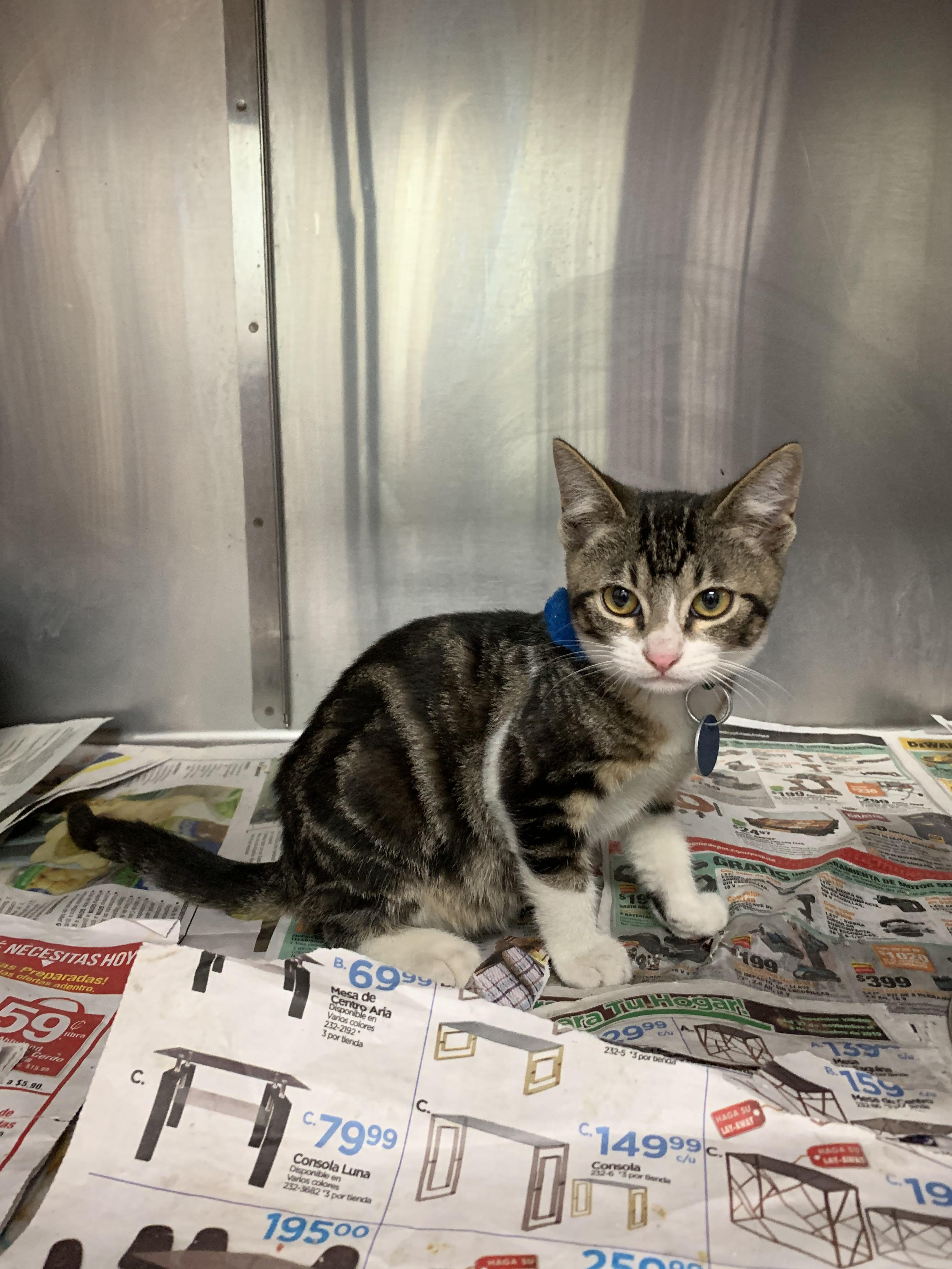 Trying hard to keep this dead sub alive... | Scrolller