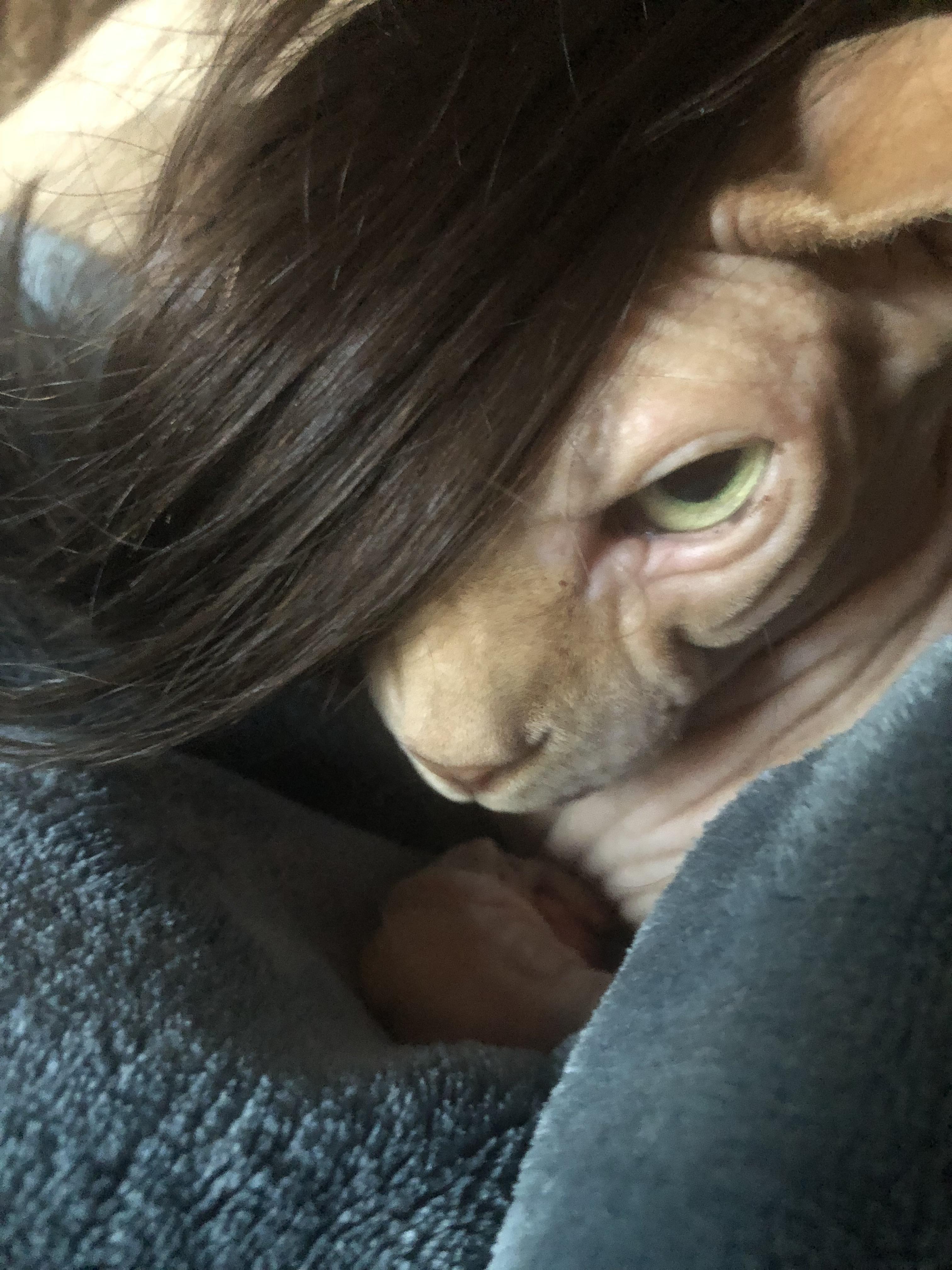 Trying new look, new shampoo and conditioner. Thoughts? | Scrolller