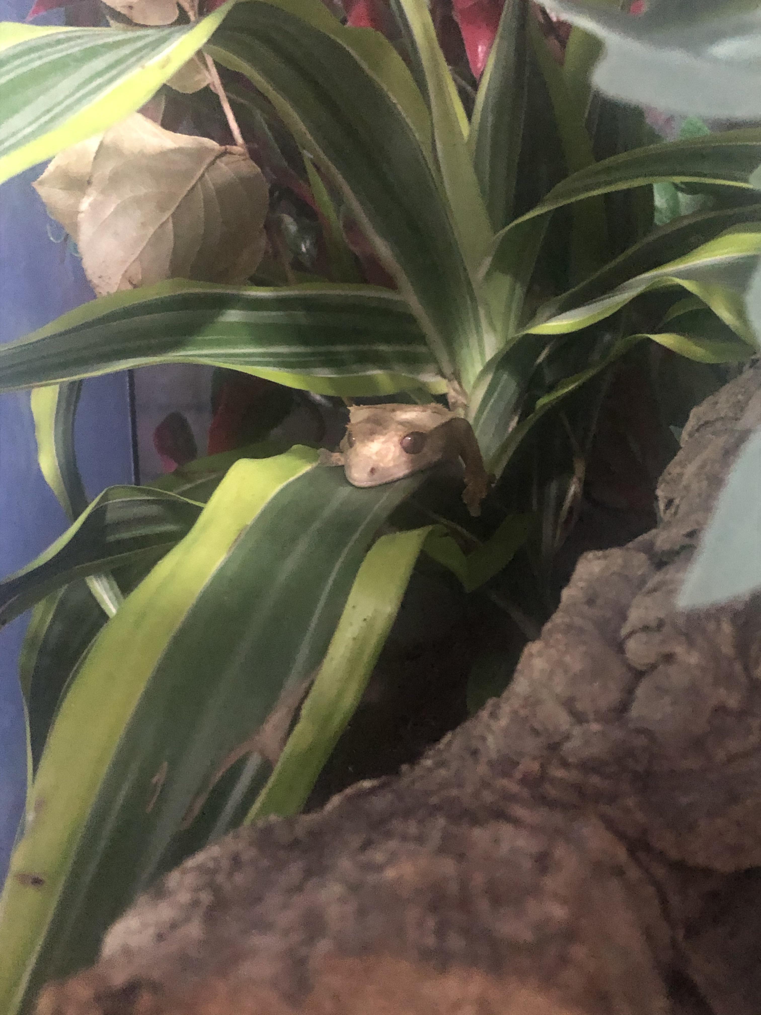 Tuesday mood | Scrolller