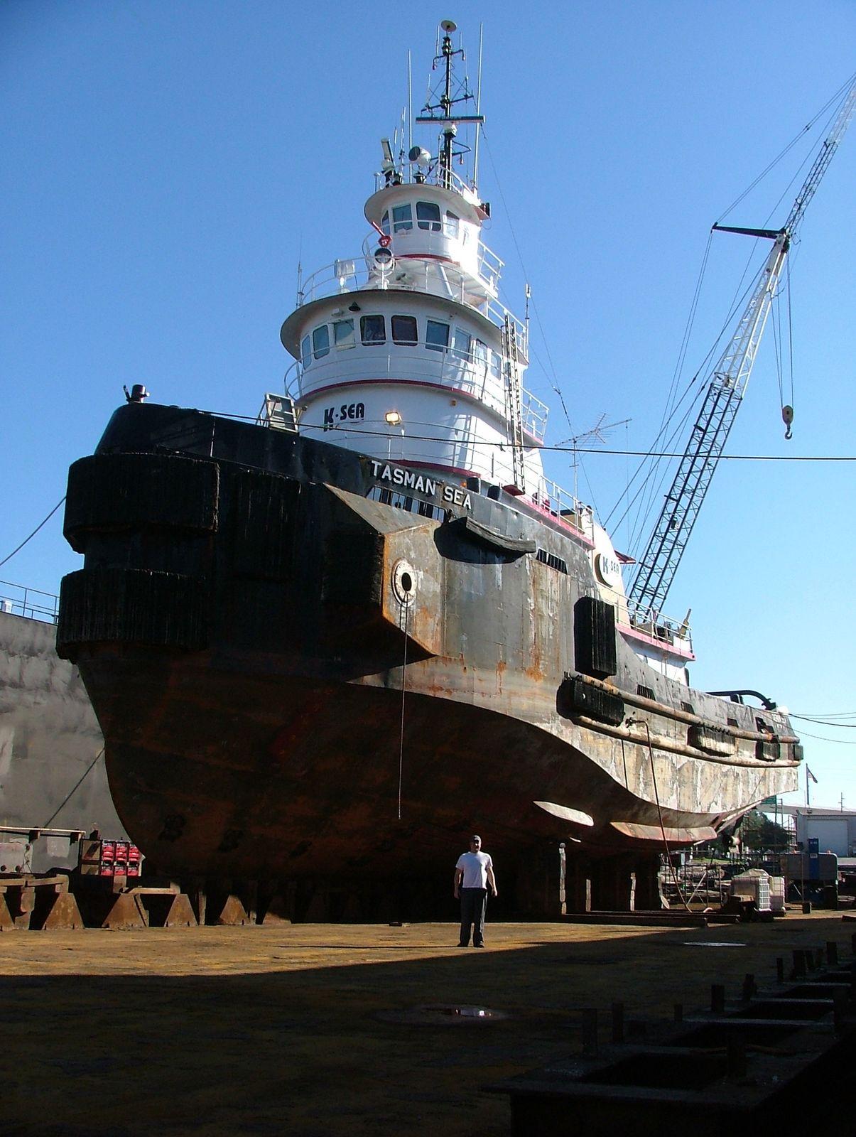 Tug Tasman Sea | Scrolller