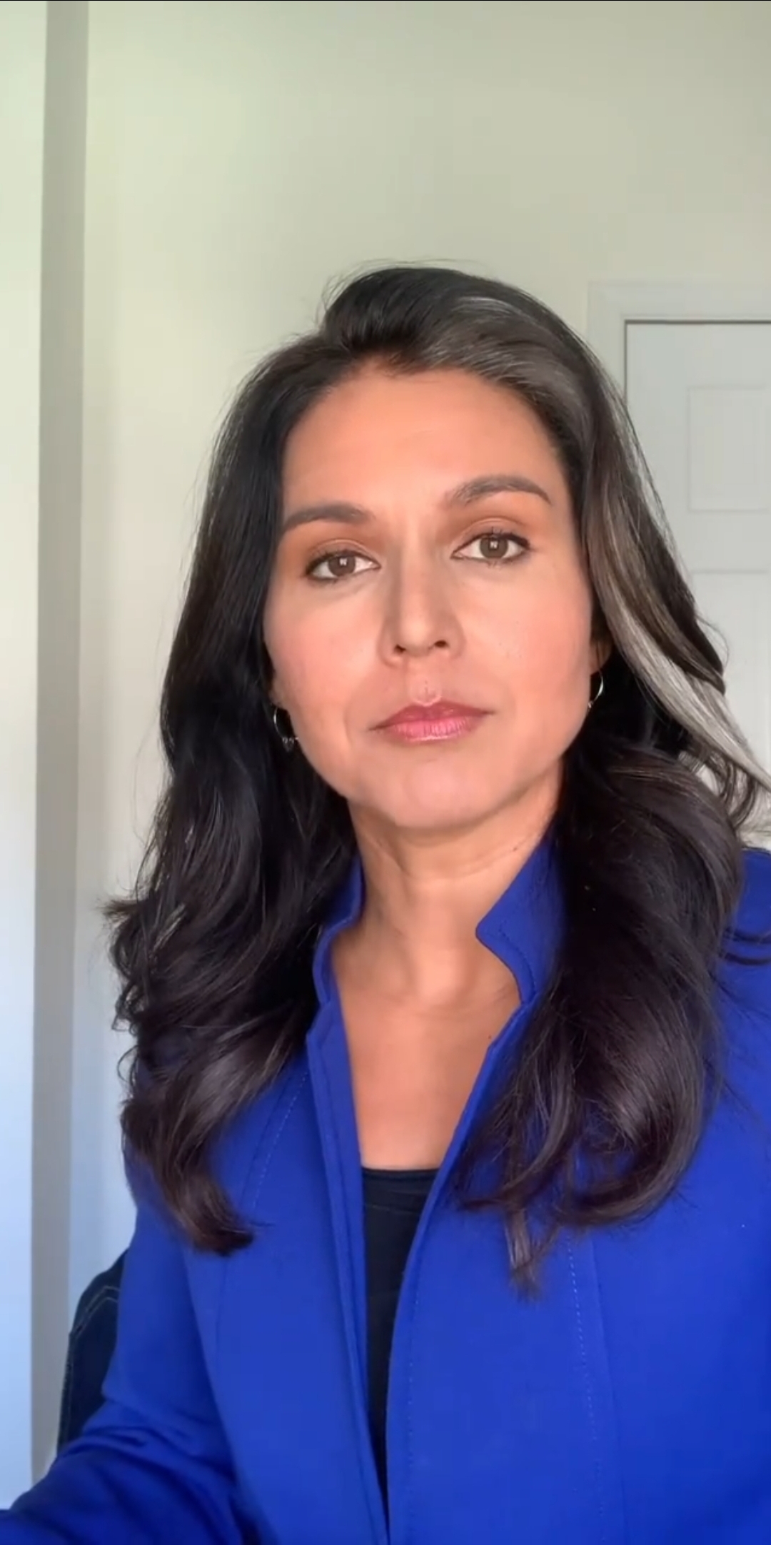 Tulsi Gabbard | Scrolller