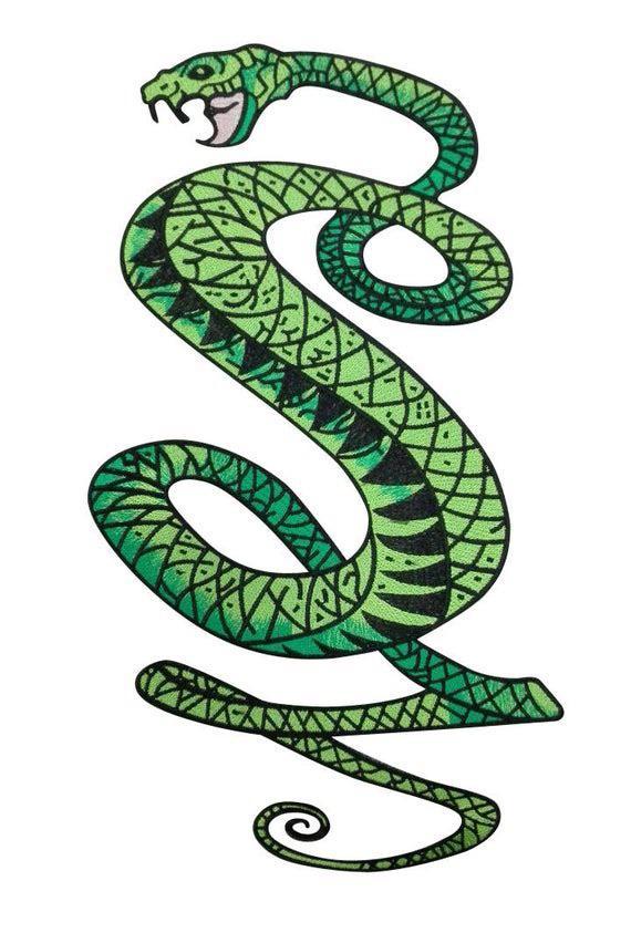 Tunnel snakes rule | Scrolller