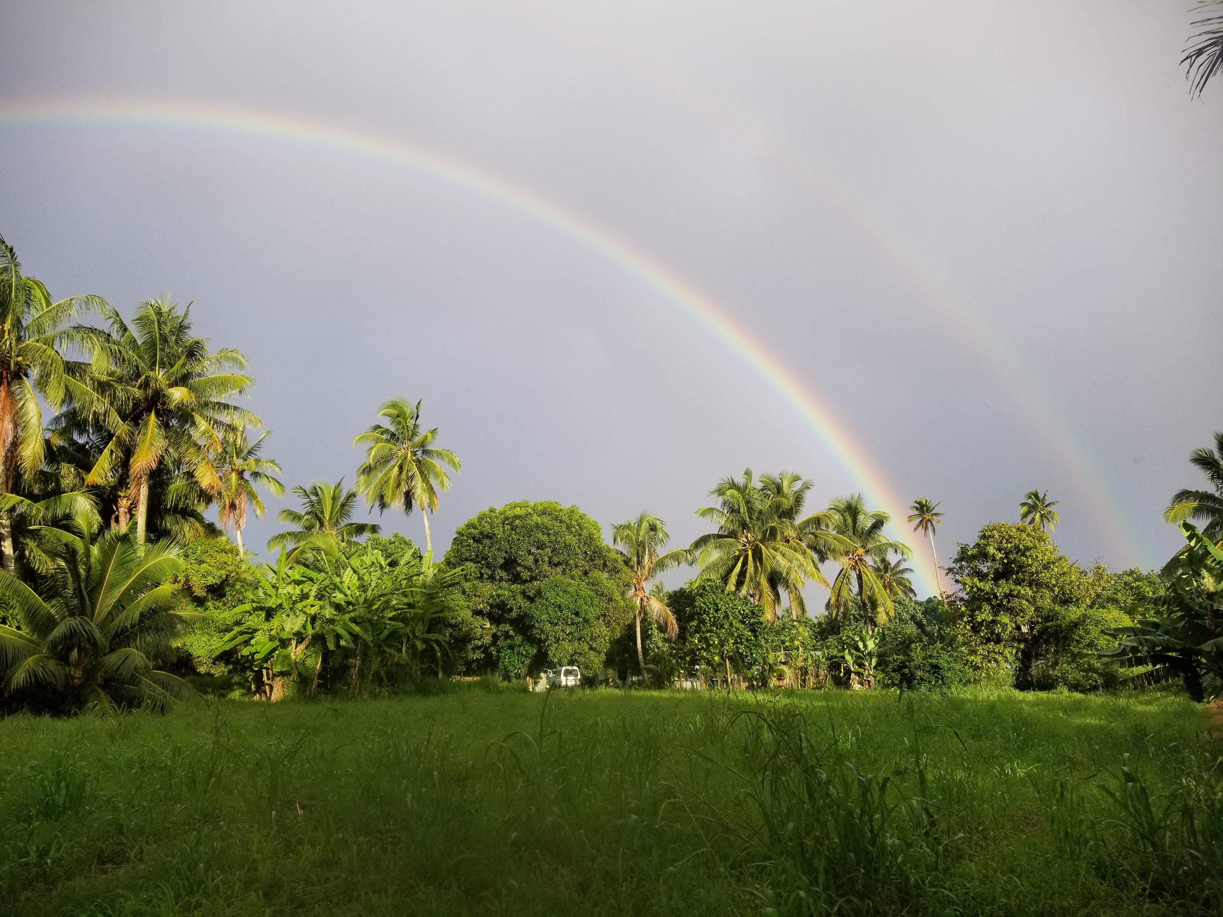 Tupapa double rainbow. | Scrolller