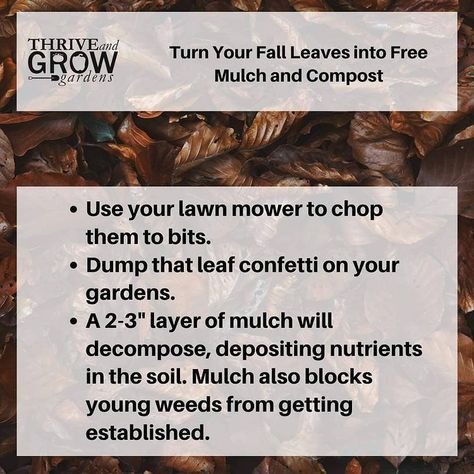 Turn your fall leaves into free mulch and compost | Scrolller