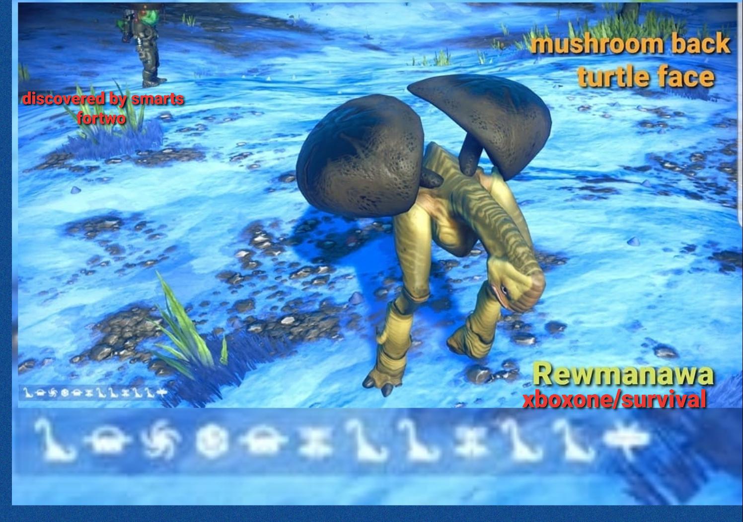 Turtle faced Strider with Mushroom Back [] Lush Rewmanawa Galaxy | Scrolller