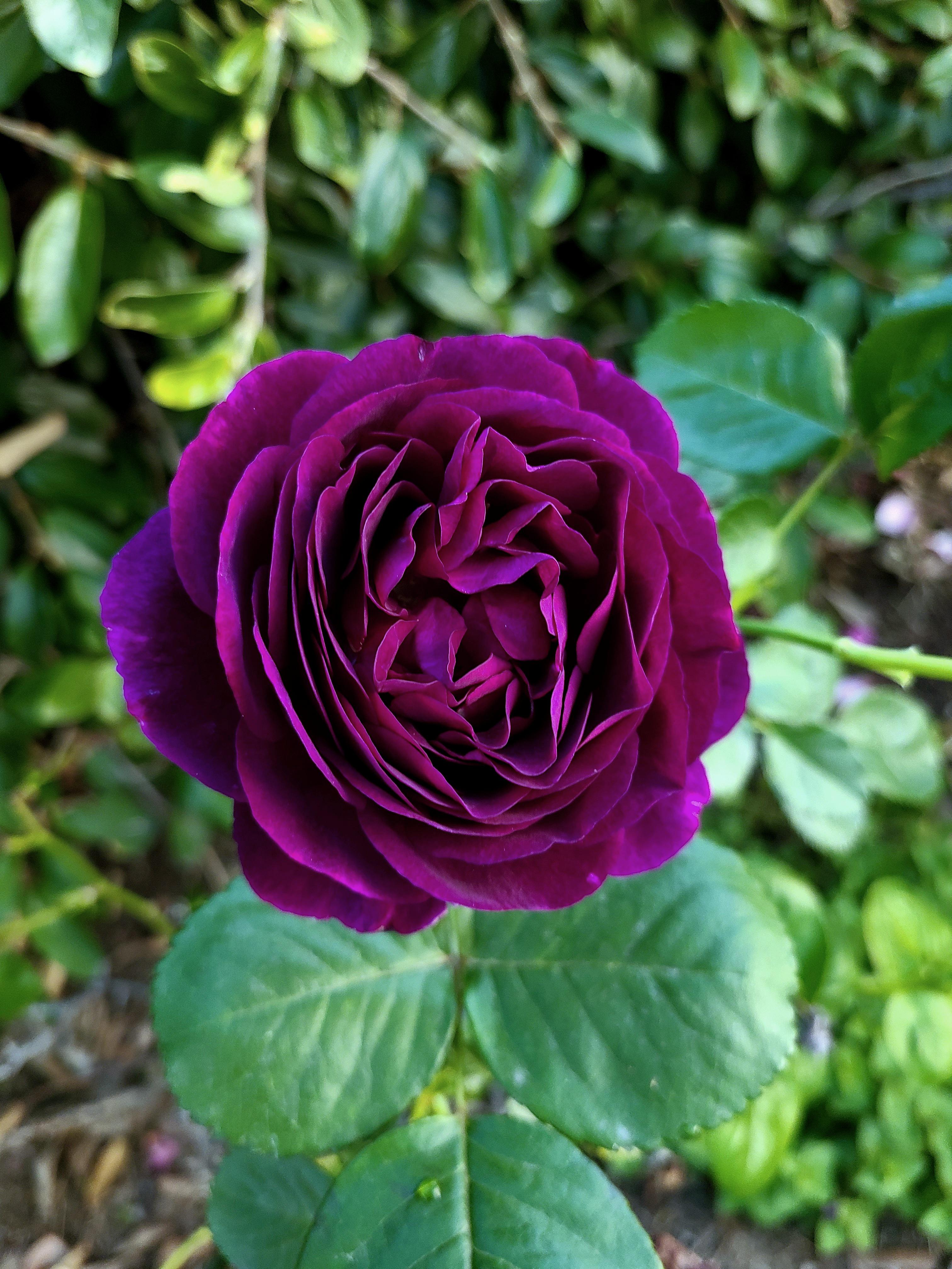 Twilight Zone | Scrolller