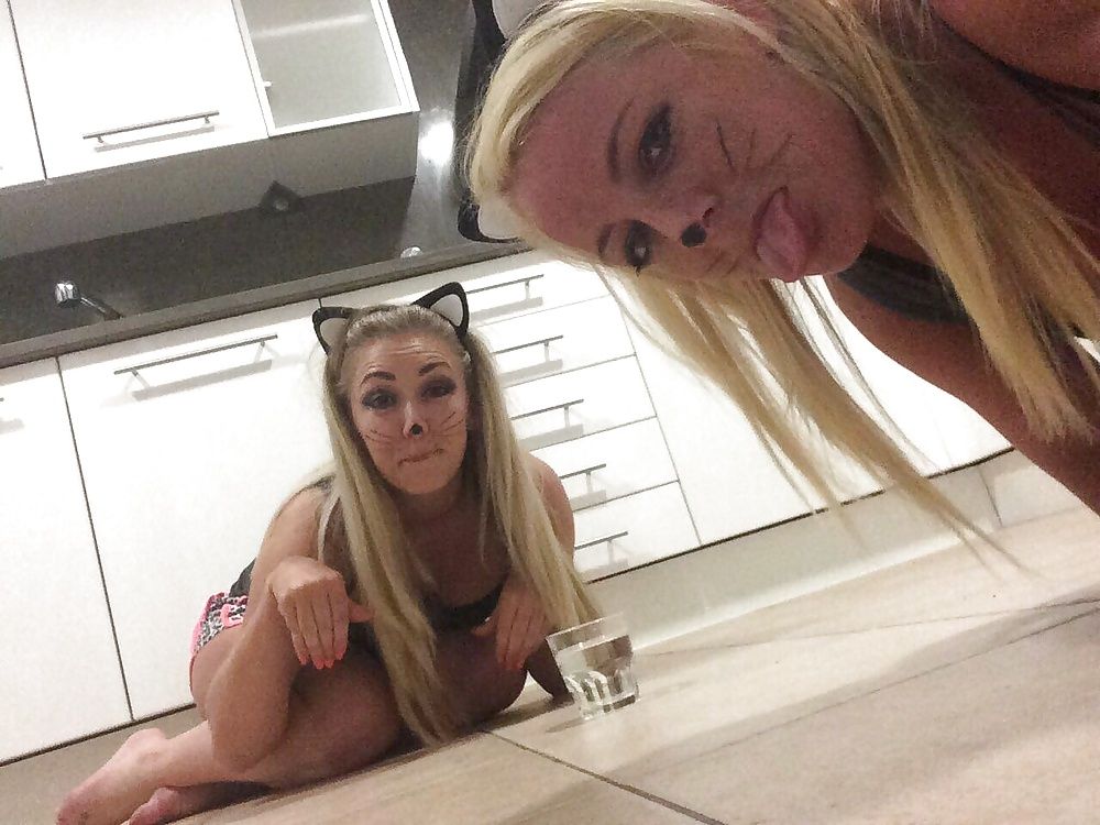 Two adorable kittens. | Scrolller