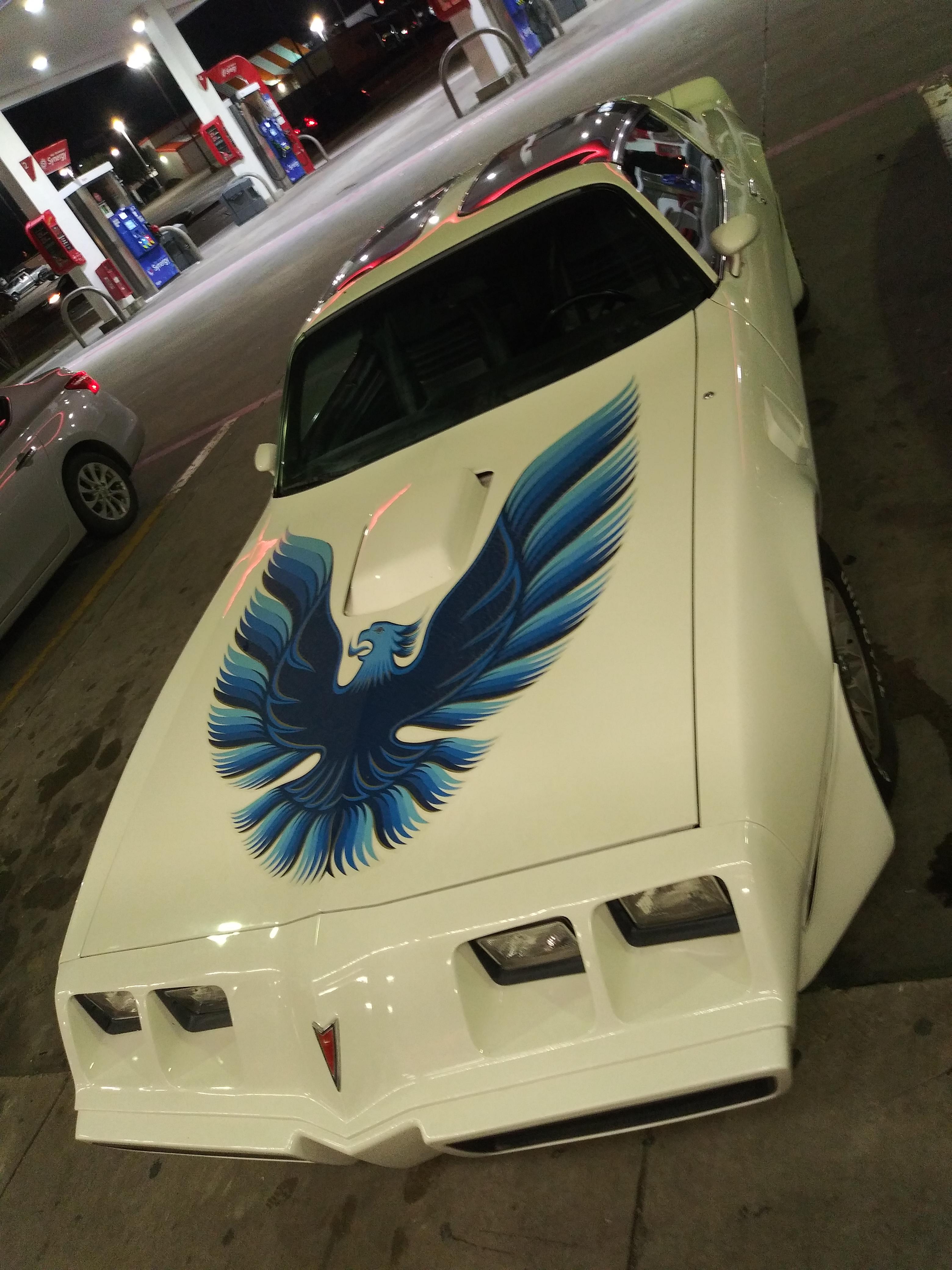 Transam | Pictures | Scrolller