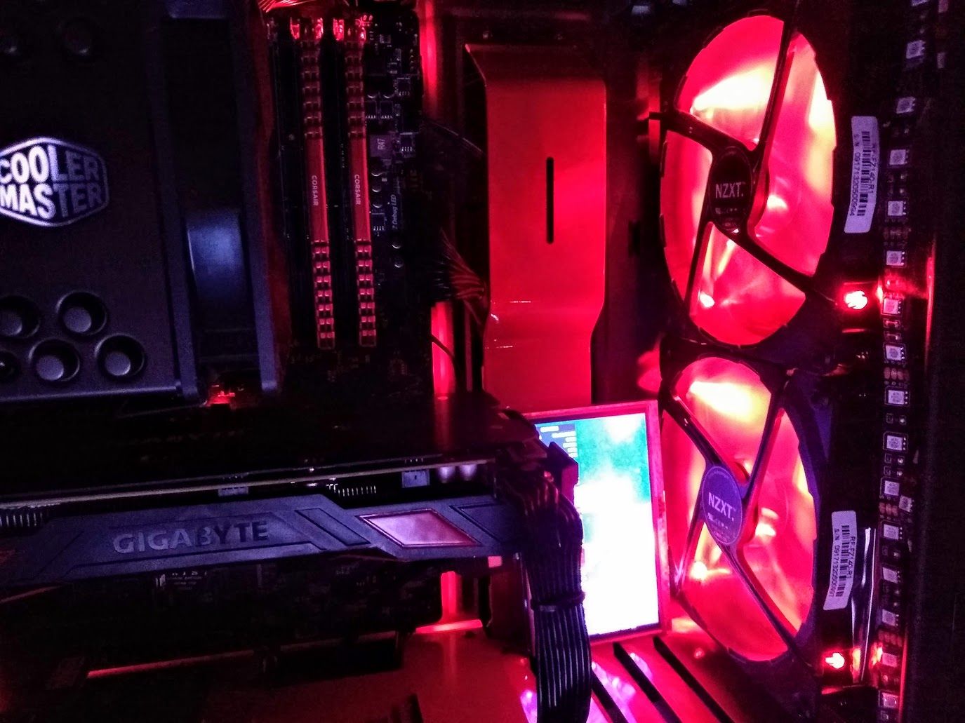 Two thicc fannys bathed in neon pink lights | Scrolller