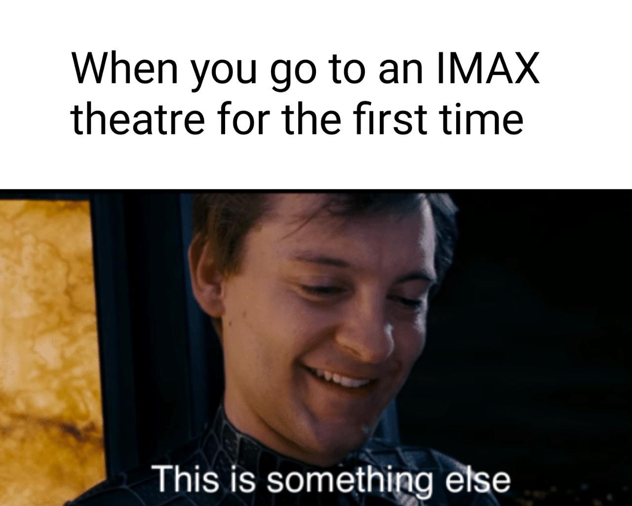 Two things: 1. This is my first meme in r/raimimemes 2.I bet that going ...