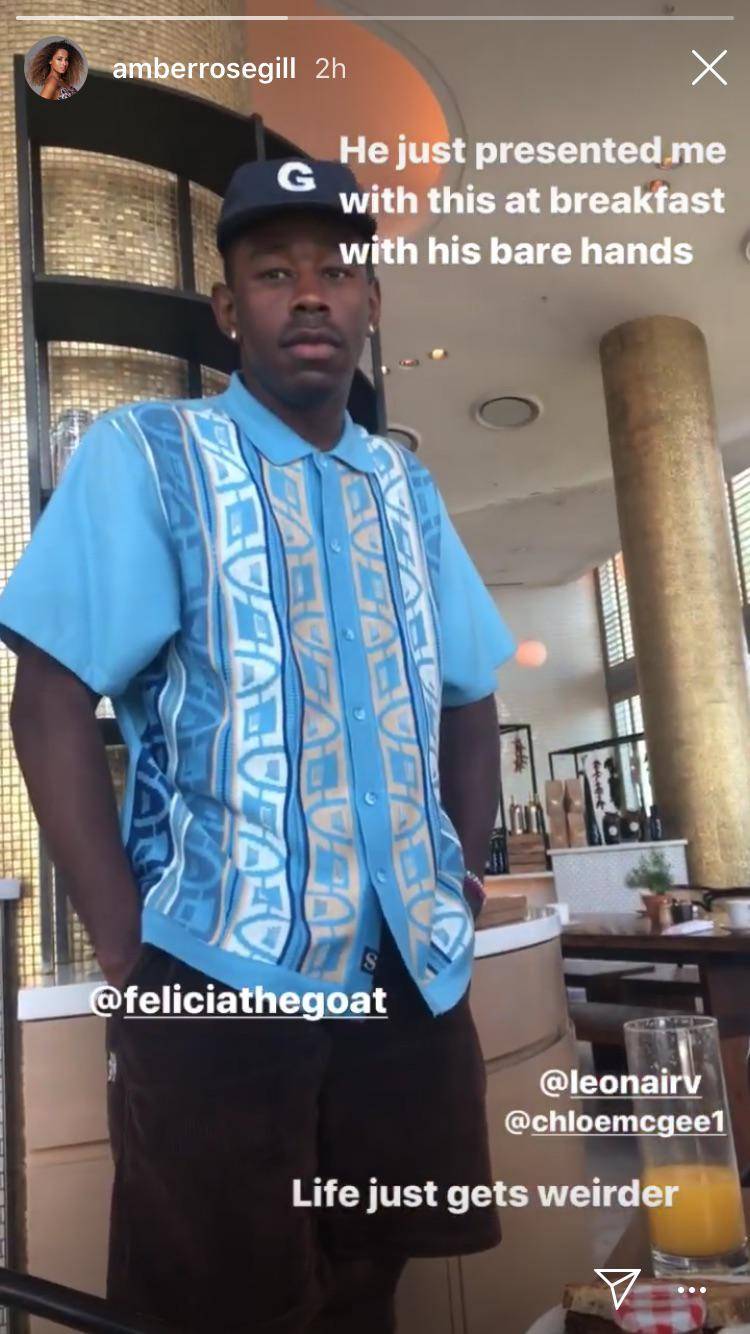 Tyler the Creator with Amber is so random lmao | Scrolller