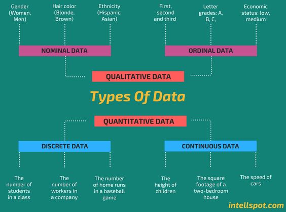 Types of Data | Scrolller