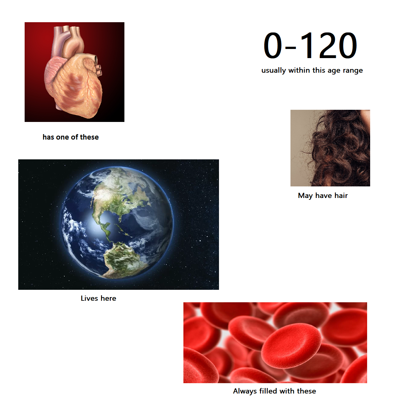 JUST ANOTHER HUMAN FEMALE AM I CORRECT FELLOW BIOLOGICS? | Scrolller