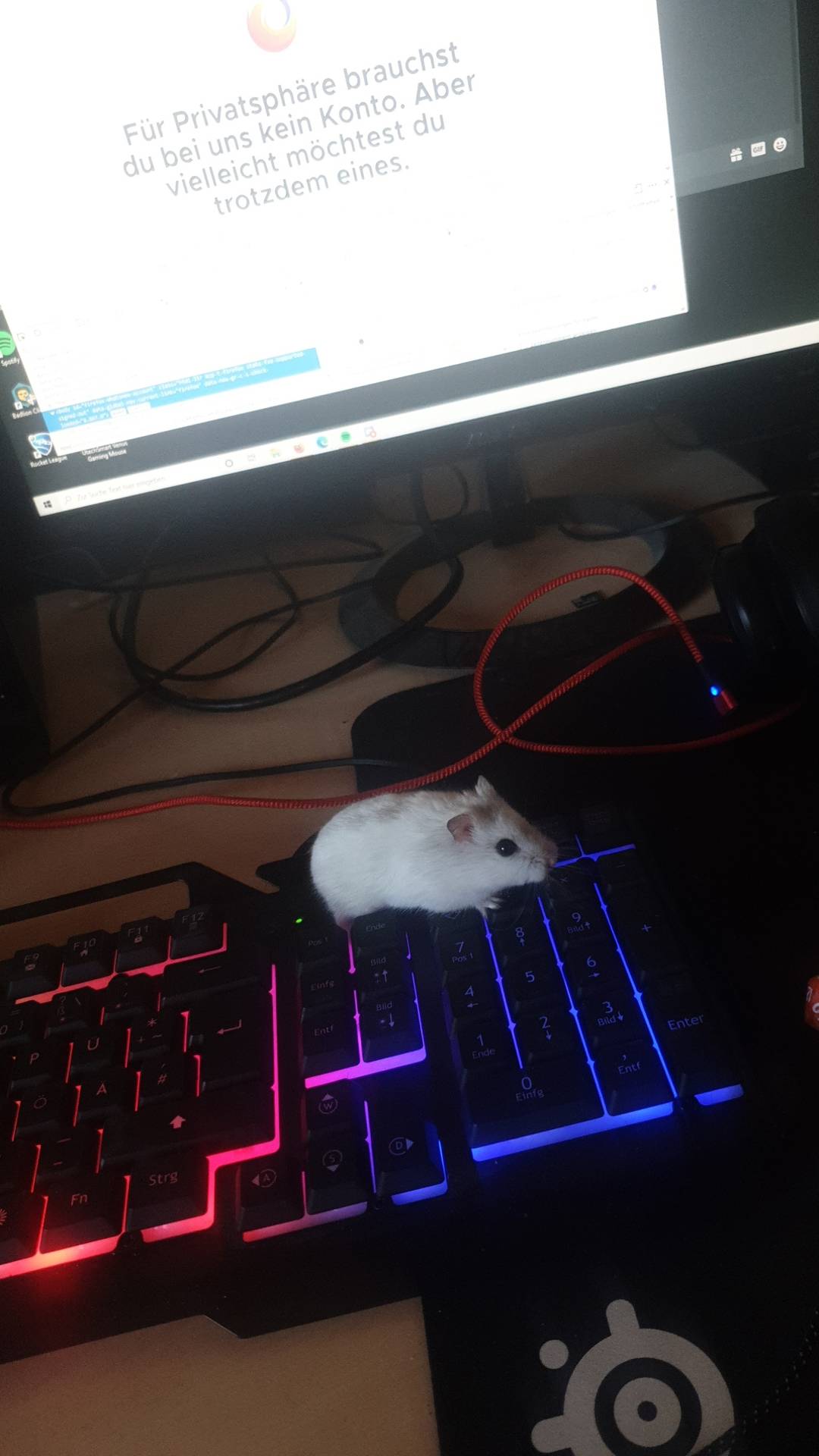 Typing my emails for me | Scrolller