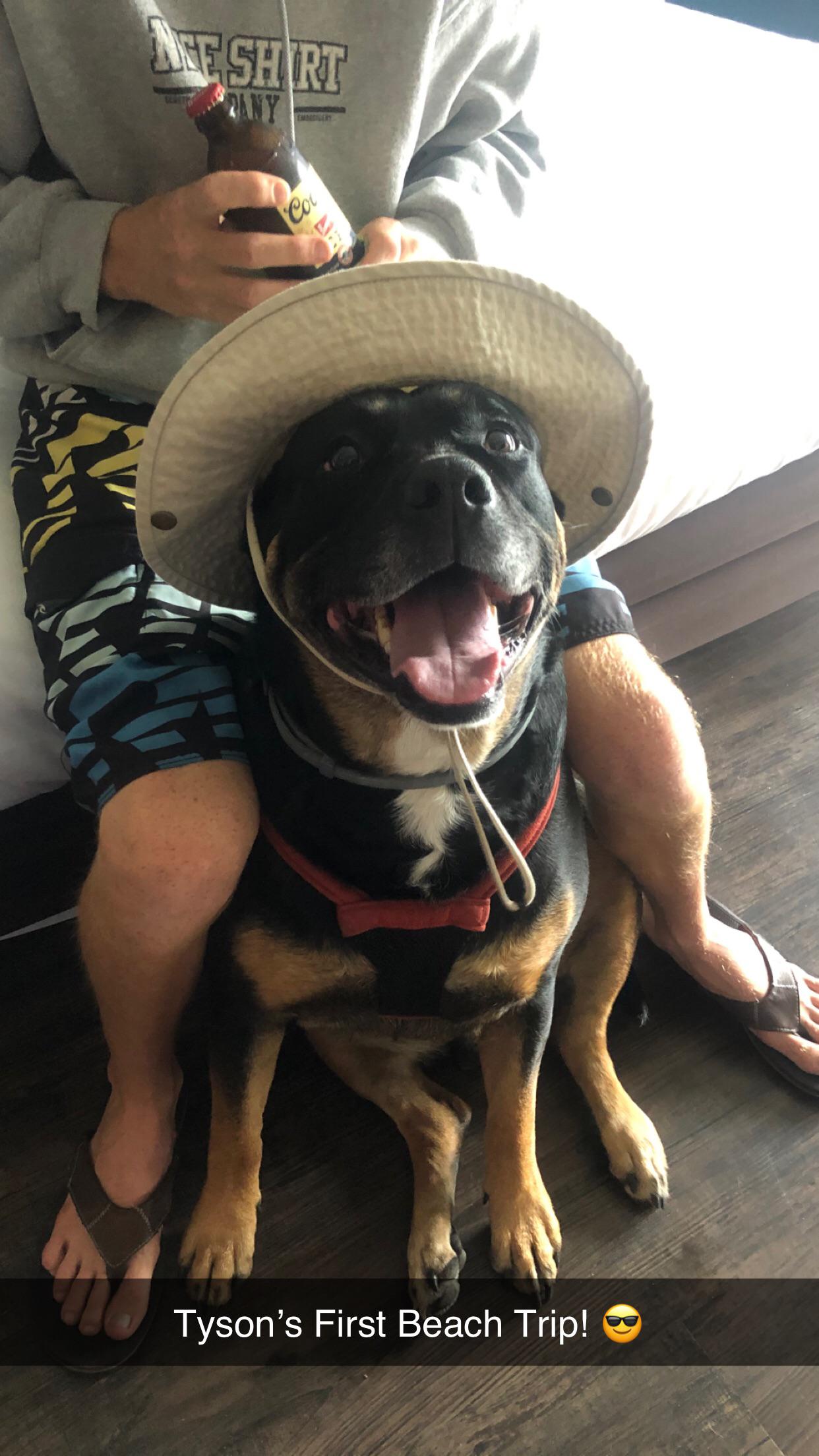 Tyson’s First Beach Trip! 😎🥰 | Scrolller