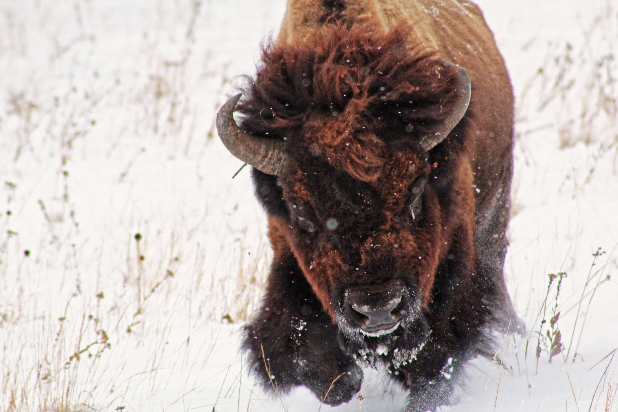 Uh oh... | Scrolller