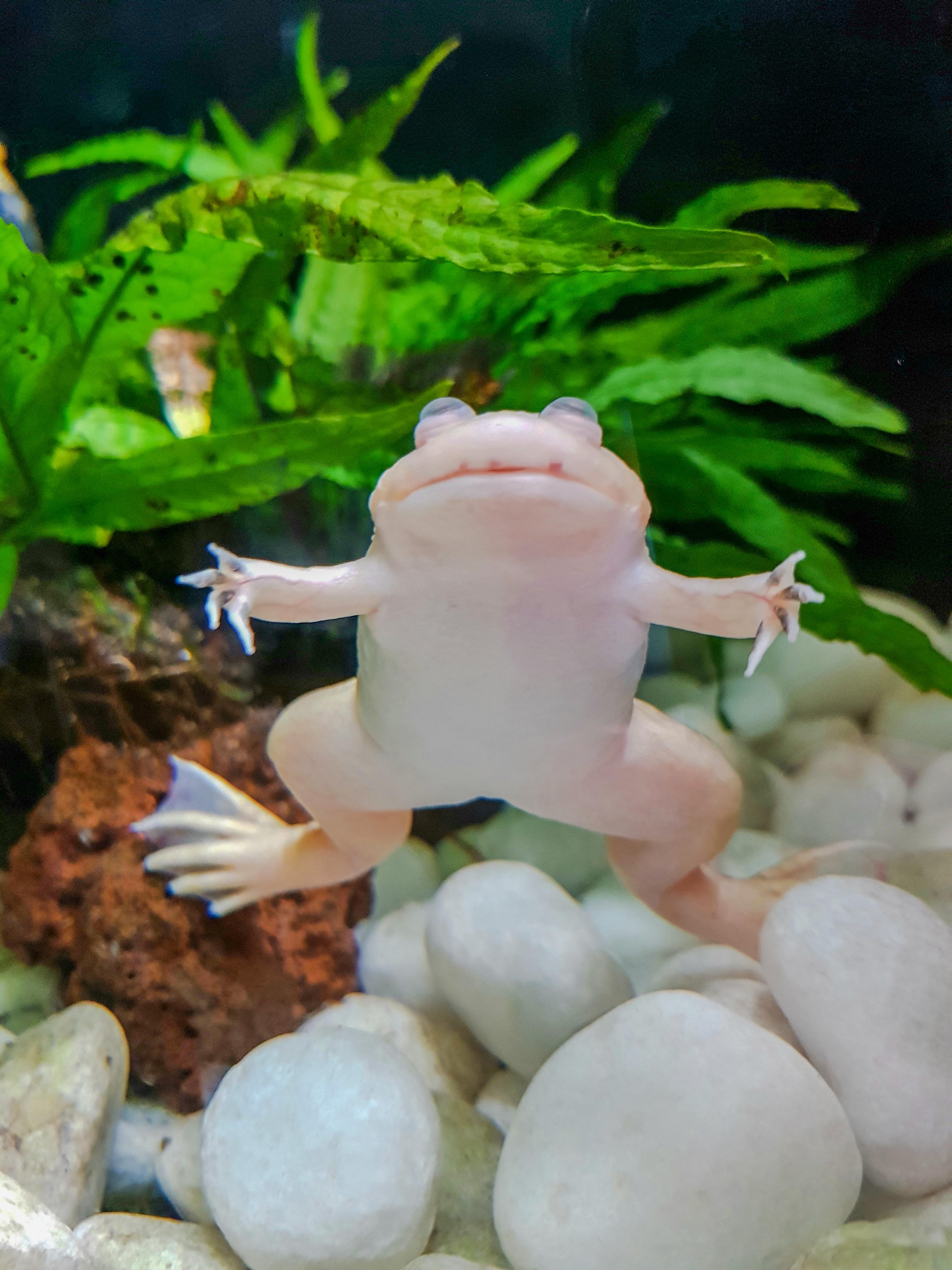 Ultimate zen, feeling spaced out. | Scrolller