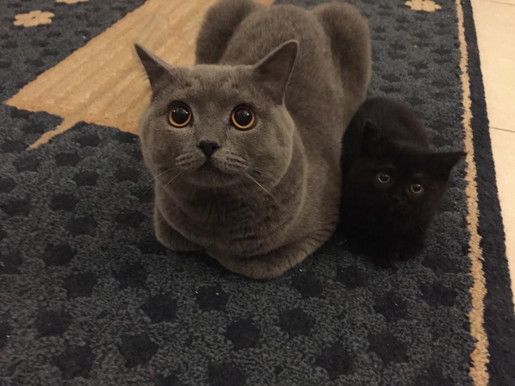 Ultra cute double curled feetsies | Scrolller