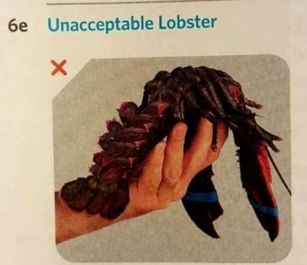 🚫🚫 UNACCEPTABLE! 🚫🚫🇹🇷 | Scrolller