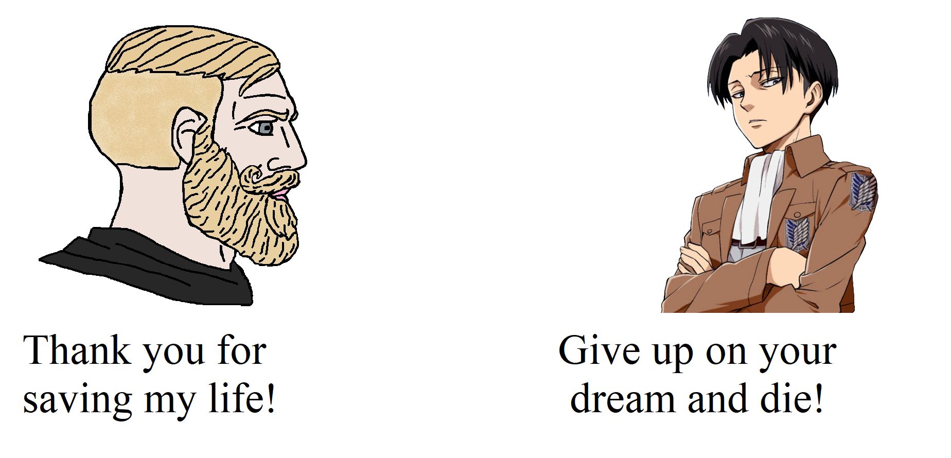 Understood Levi senpai! | Scrolller