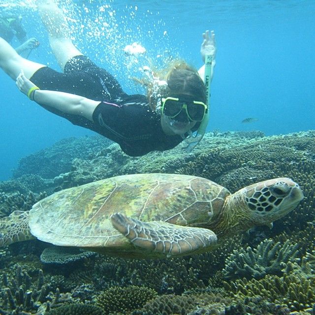 Underwater | Scrolller