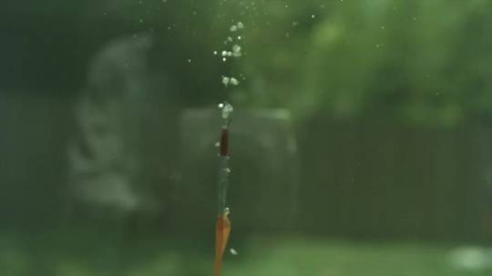 Underwater firecracker | Scrolller