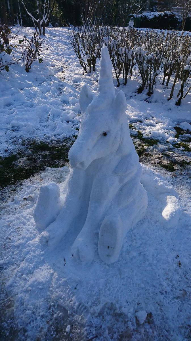 Unicorn of snow ! | Scrolller