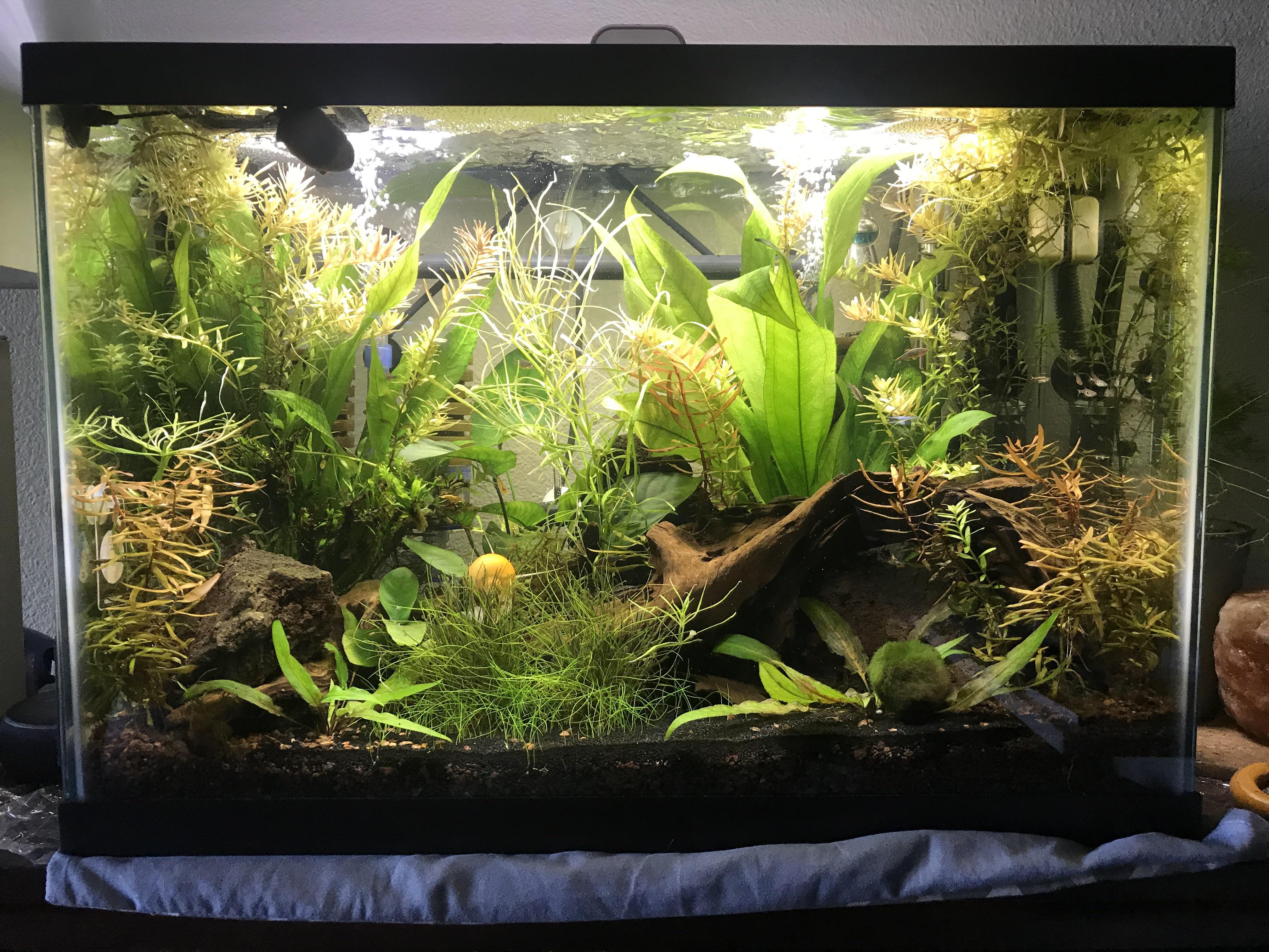 Update: Finally Completed (details in comments) | Scrolller