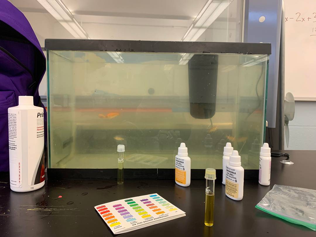 Updated tank photo! Still shitty nonetheless, but after this school year is over they’re all ...