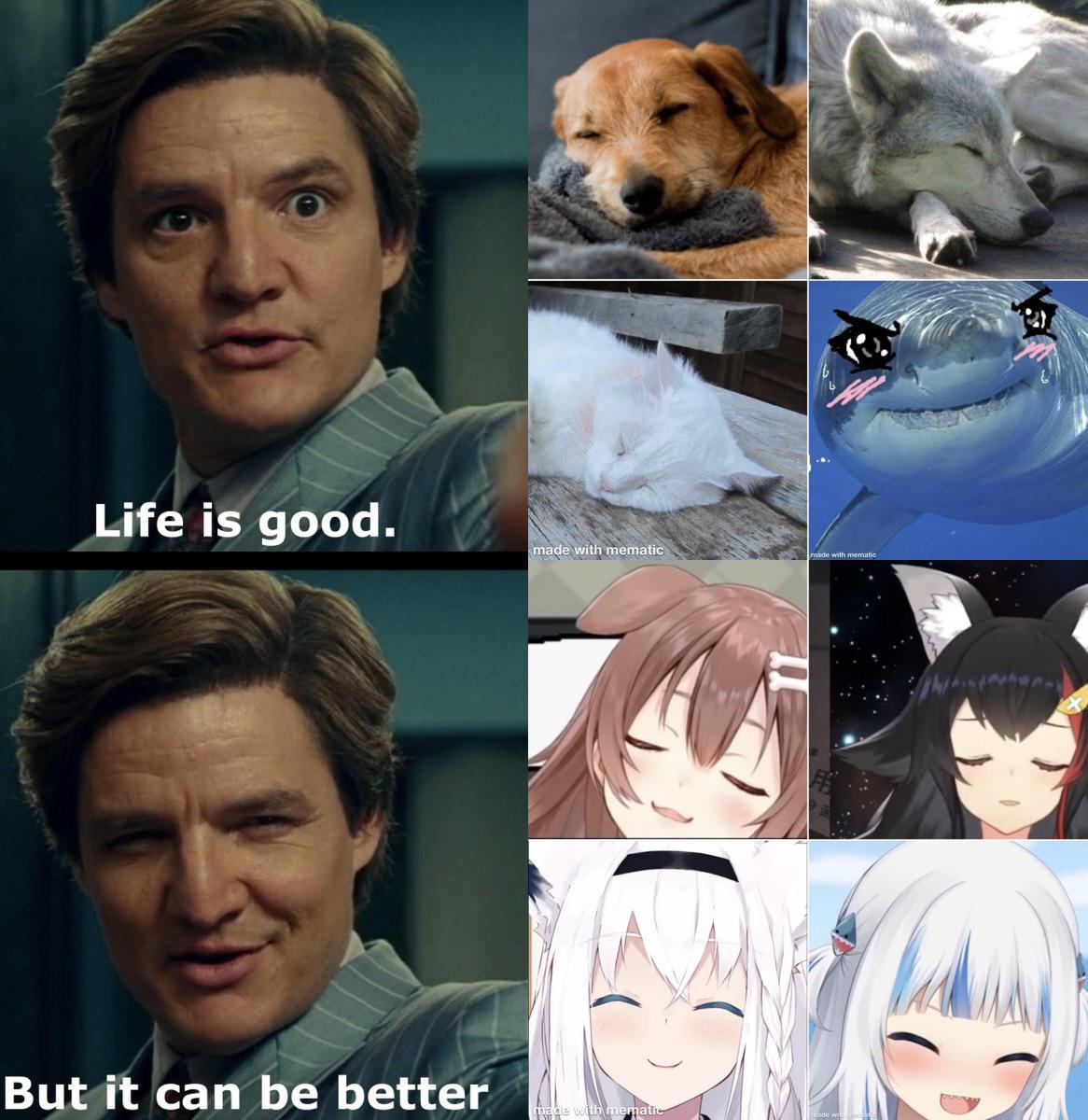 Upgrades people, upgrades | Scrolller