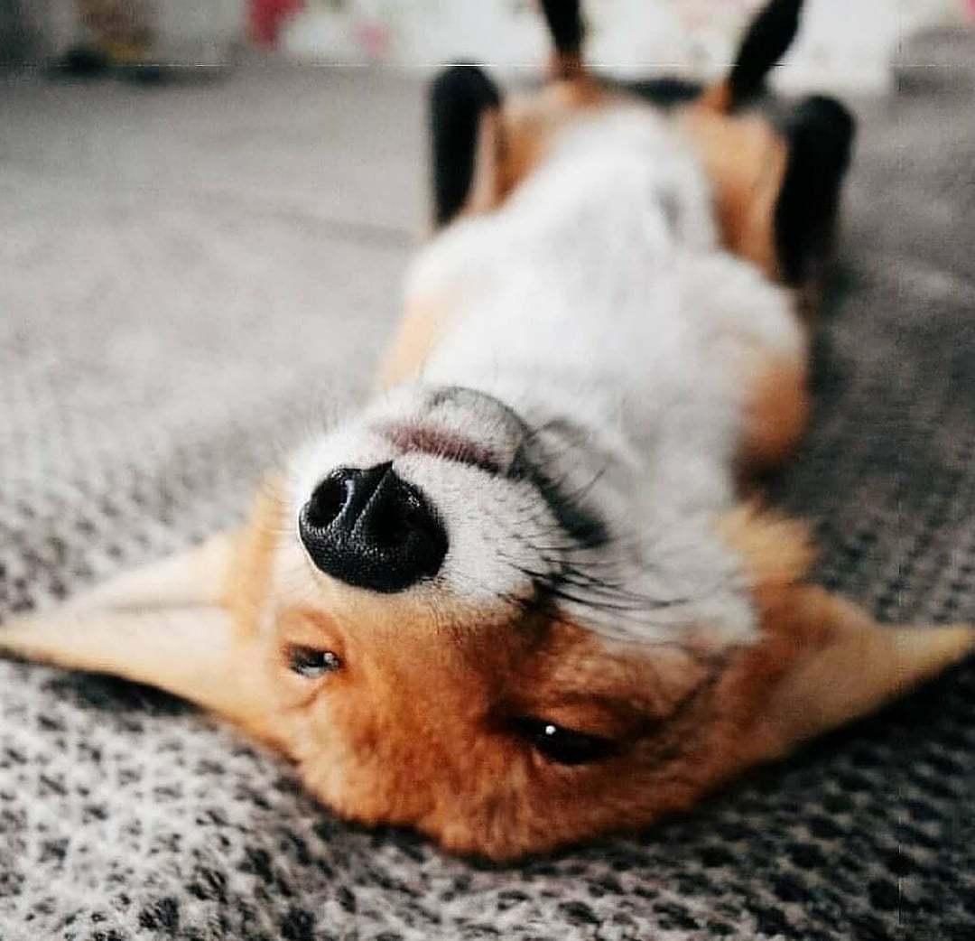 Upside-down World 🙃 | Scrolller